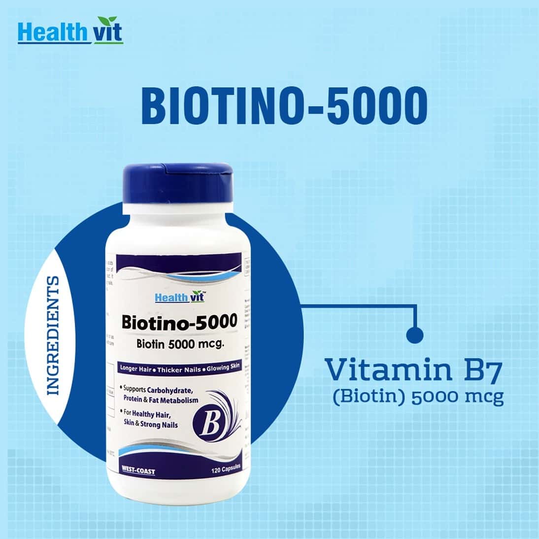 Buy HEALTHVIT BIOTINO-5000 BIOTIN 5000 MCG FOR HAIR SKIN AND NAILS ...