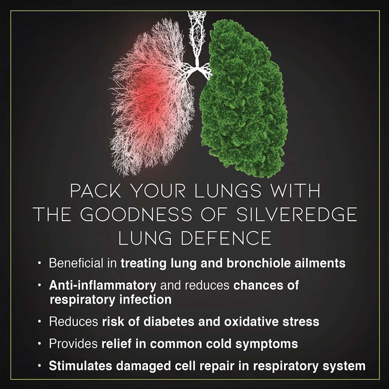 Buy SILVEREDGE LUNG DEFENCE (PROTECTS & DETOXIFIES) FOR MEN & WOMEN, 30 ...