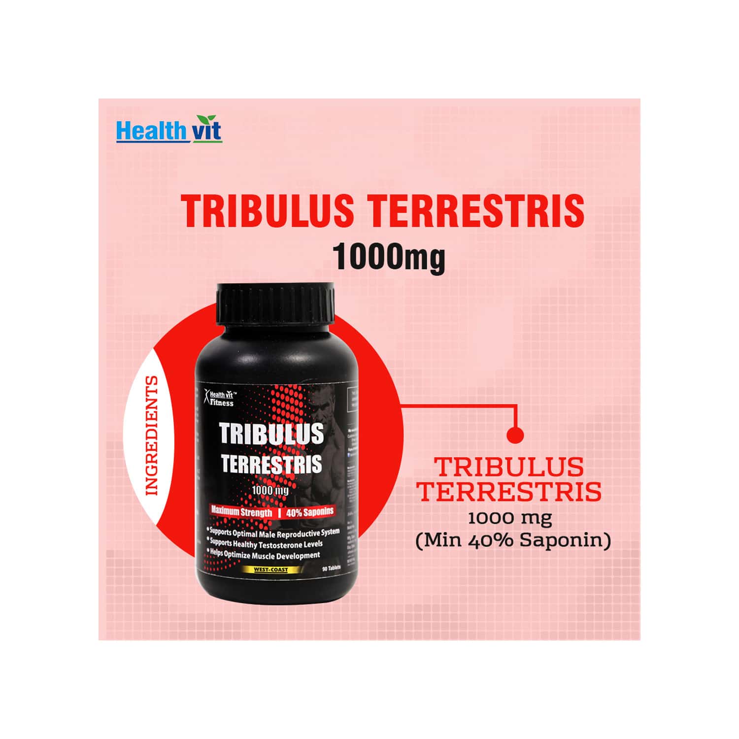 Buy Healthvit Fitness Tribulus Terrestris 1000mg Maximum Strength 40% ...