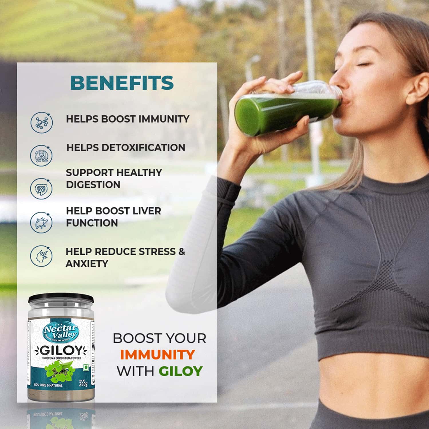 Buy NECTAR VALLEY GILOY POWDER (TINOSPORA CORDIFOLIA) 250G | PURE AND ...