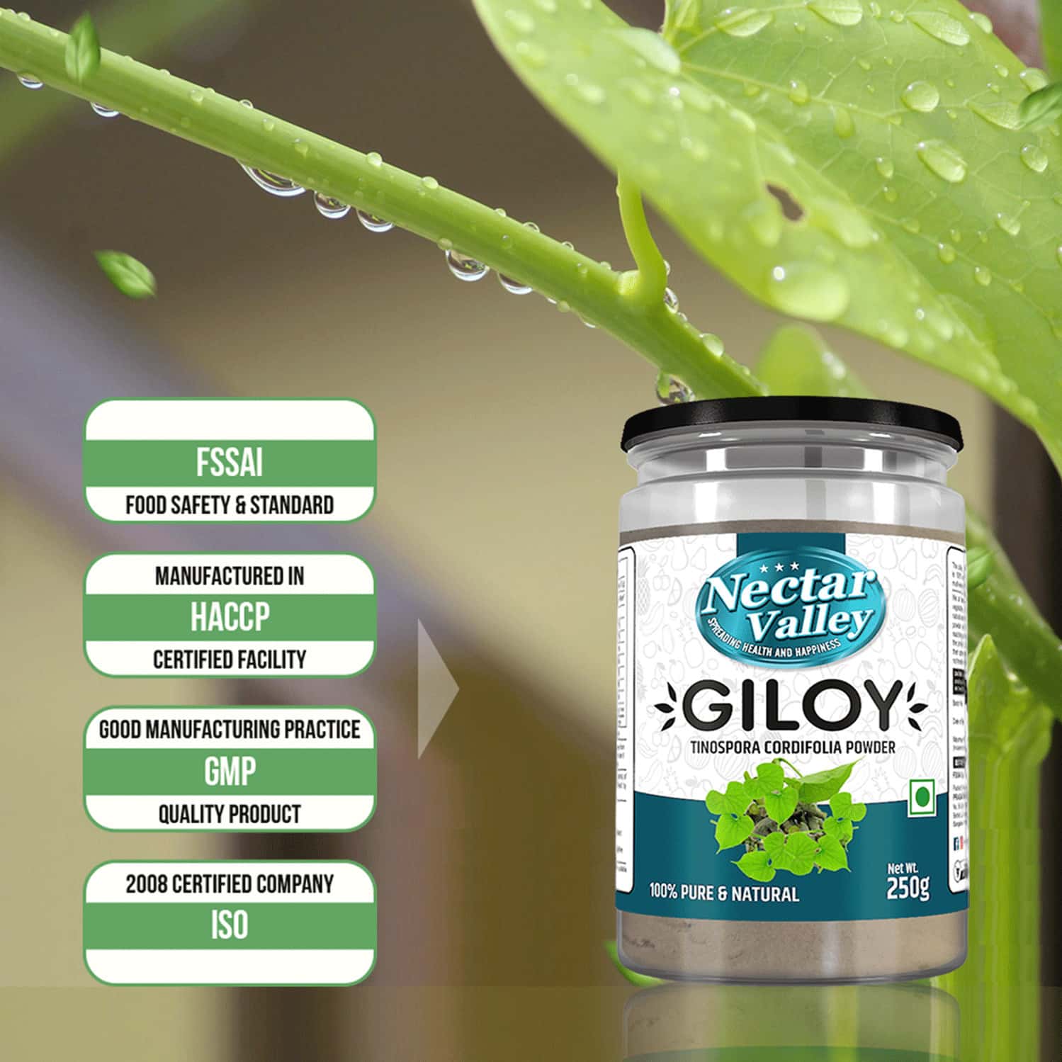 Buy NECTAR VALLEY GILOY POWDER (TINOSPORA CORDIFOLIA) 250G | PURE AND ...