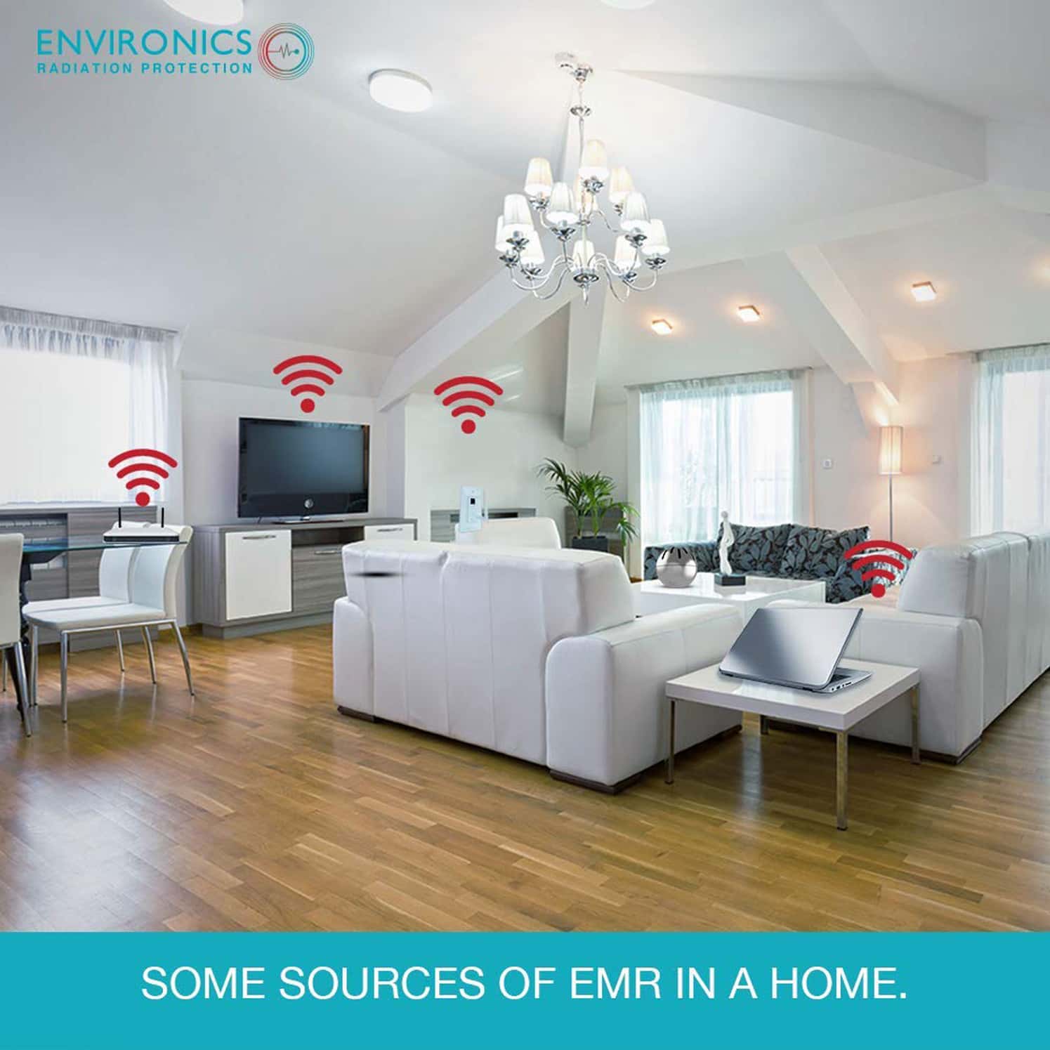 Buy ENVIROGLOBE - RADIATION PROTECTOR - ELECTROMAGNETIC RADIATION ...