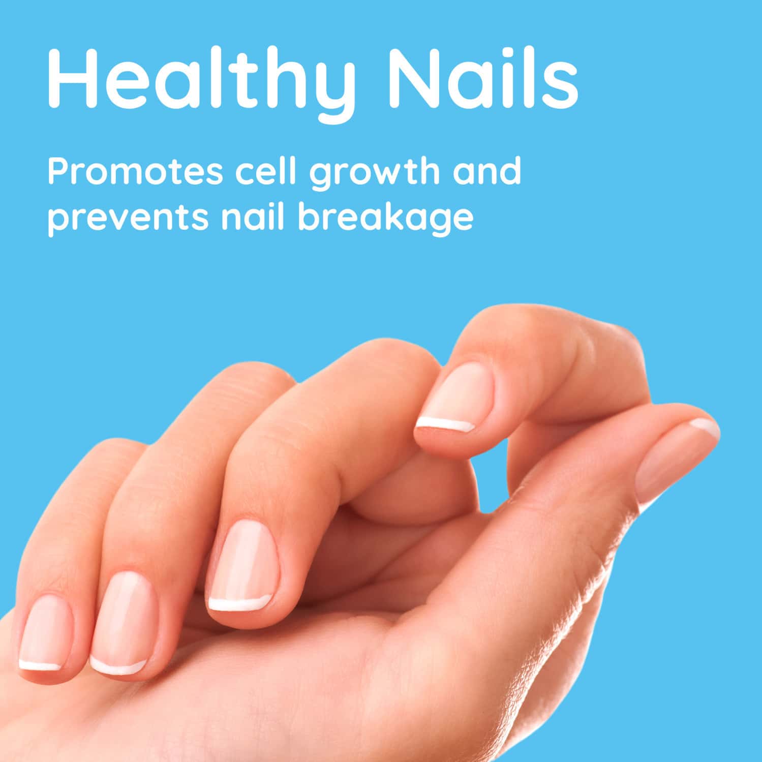 Buy NECTOR UTSAVA BIOTIN BLUEBERRY SUGAR FREE CHEWABLE TABLETS 30 ...