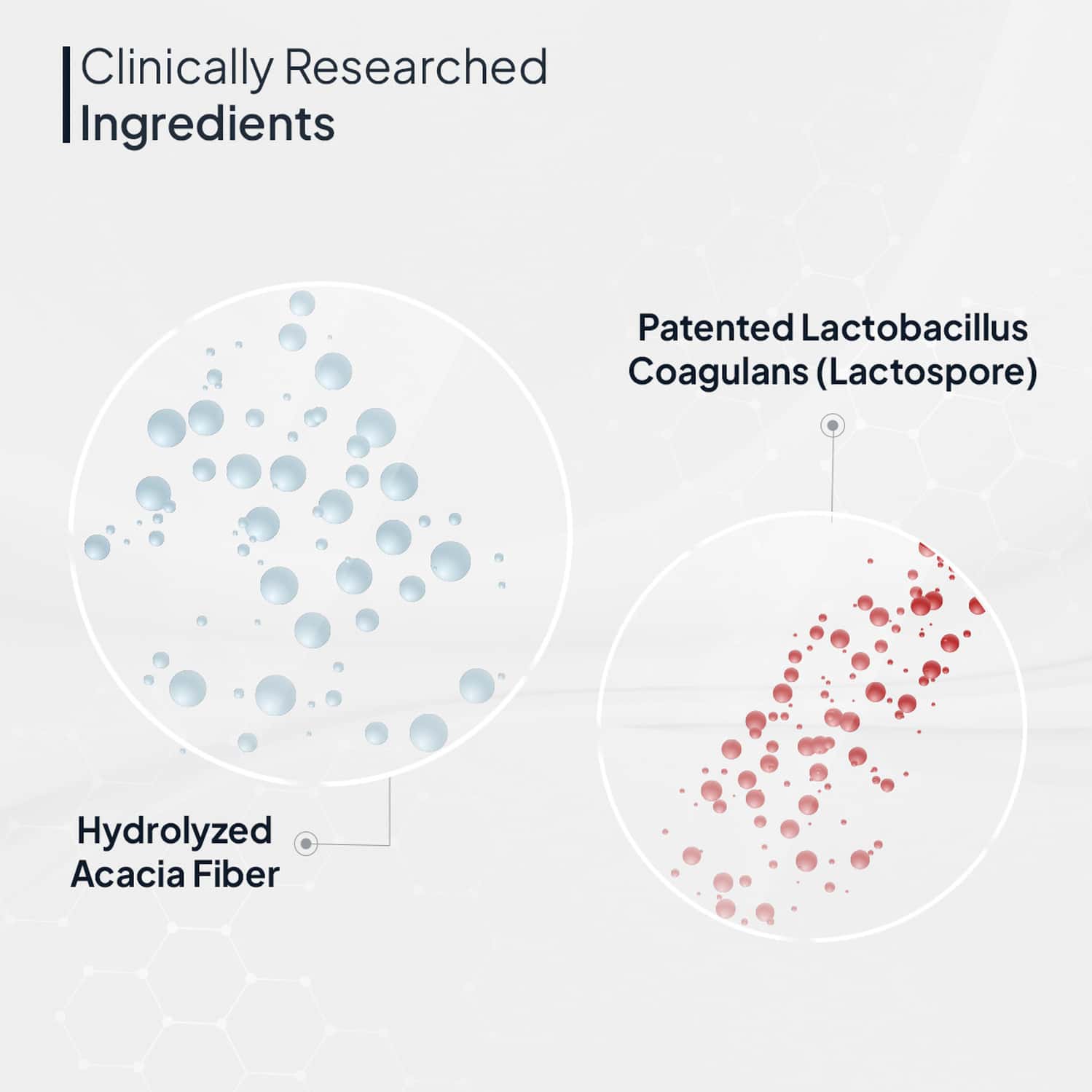Buy MIDUTY PALAK NOTES PROBIOTICS & PREBIOTIC POWDER FOR GUT HEALTH ...