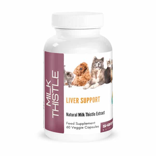 Buy SHARRETS SILYMARIN MILK THISTLE FOR DOGS & CATS, LIVER SUPPORT ...