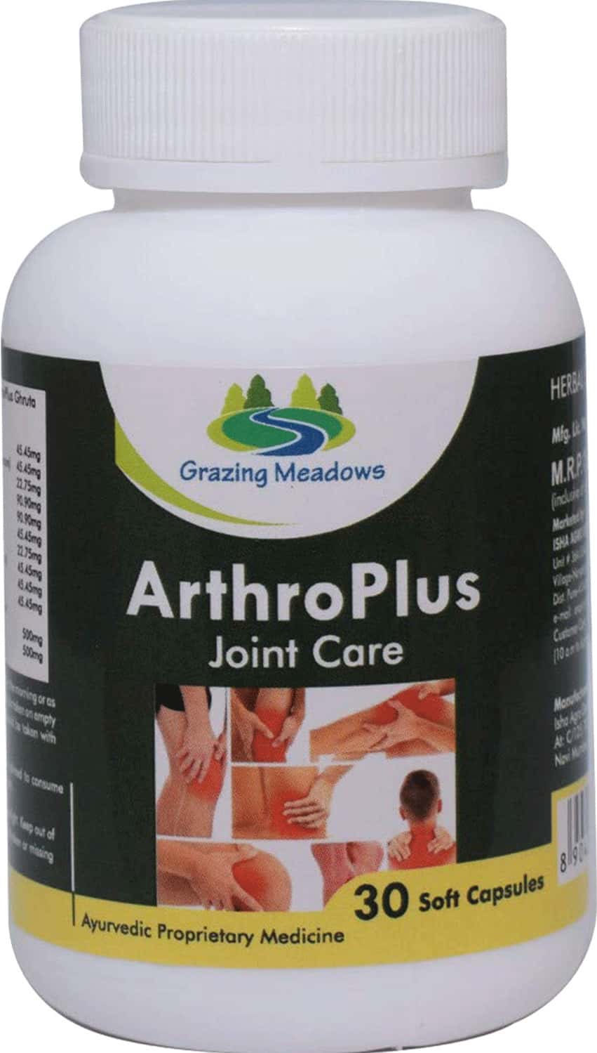 Buy AL-AYURVEDIC LIFE JOINT CARE 30 CAPSULES - ARTHRO PLUS Online & Get ...