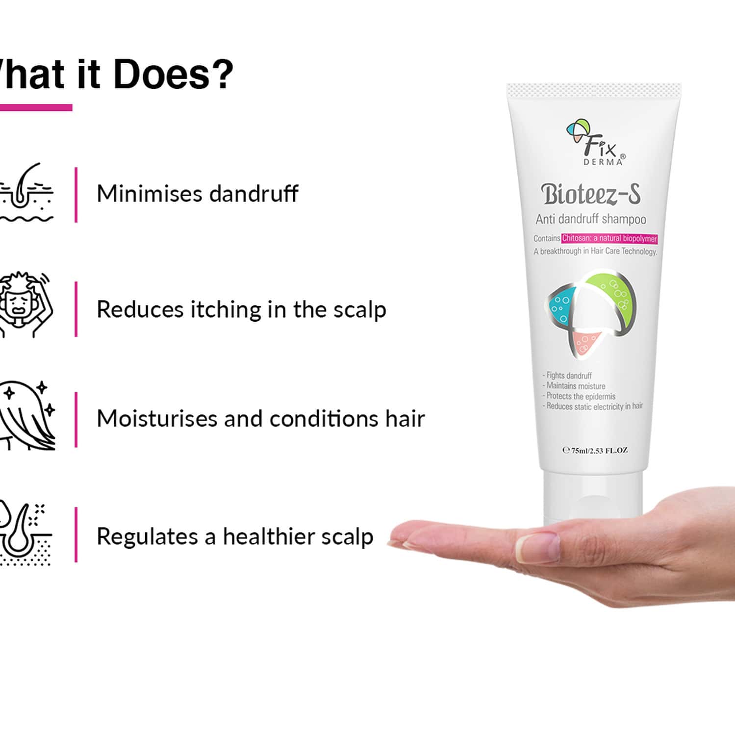 Buy FIXDERMA BIOTEEZ-S ANTI DANDRUFF SHAMPOO FOR FLAKY DRY SCALP - 75ML ...