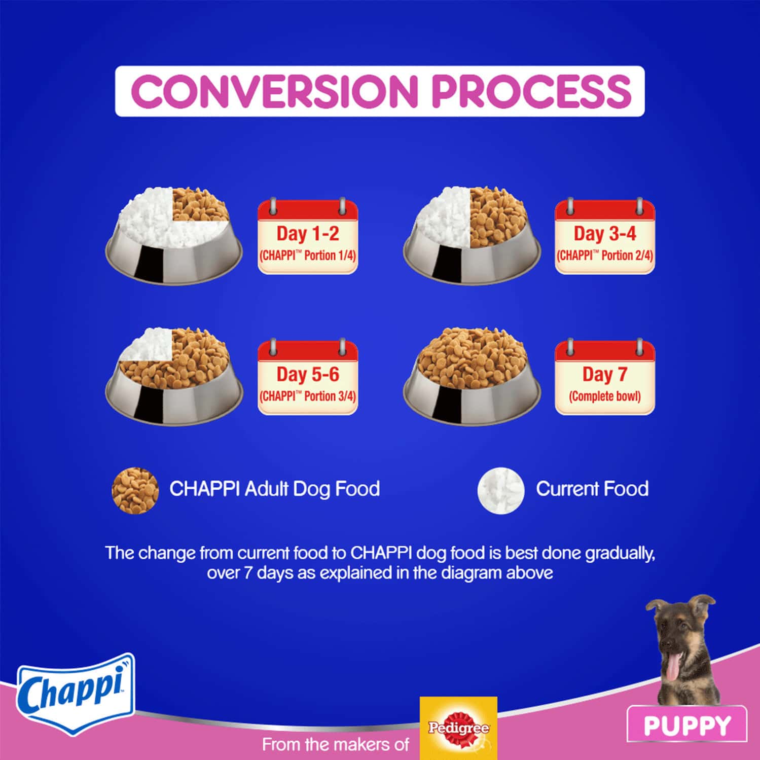 Buy CHAPPI Online & Get Upto 60% OFF at PharmEasy