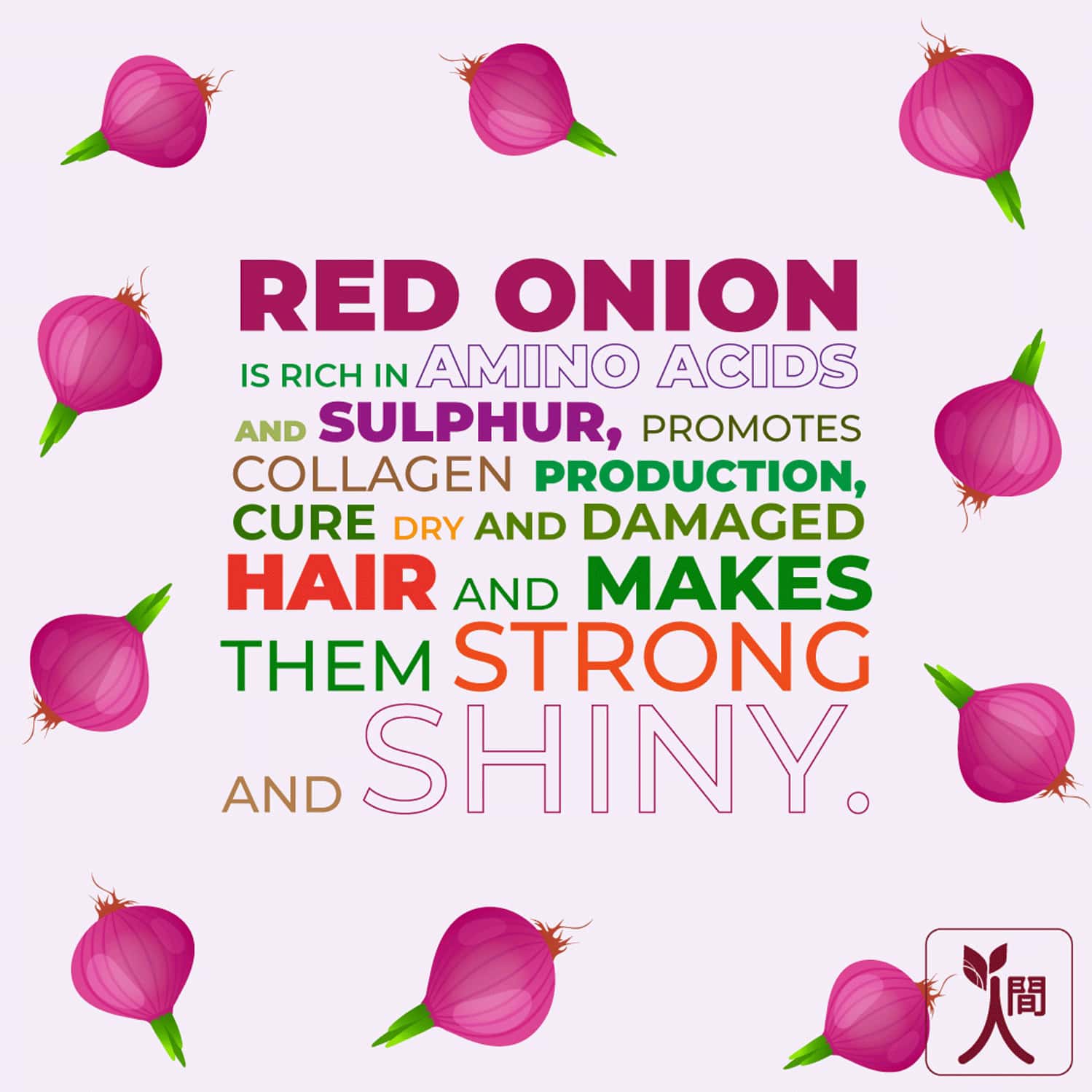 Buy NINGEN ONION HAIR SHAMPOO SOYA AND THYME HELPS REDUCE HAIR FALL ...