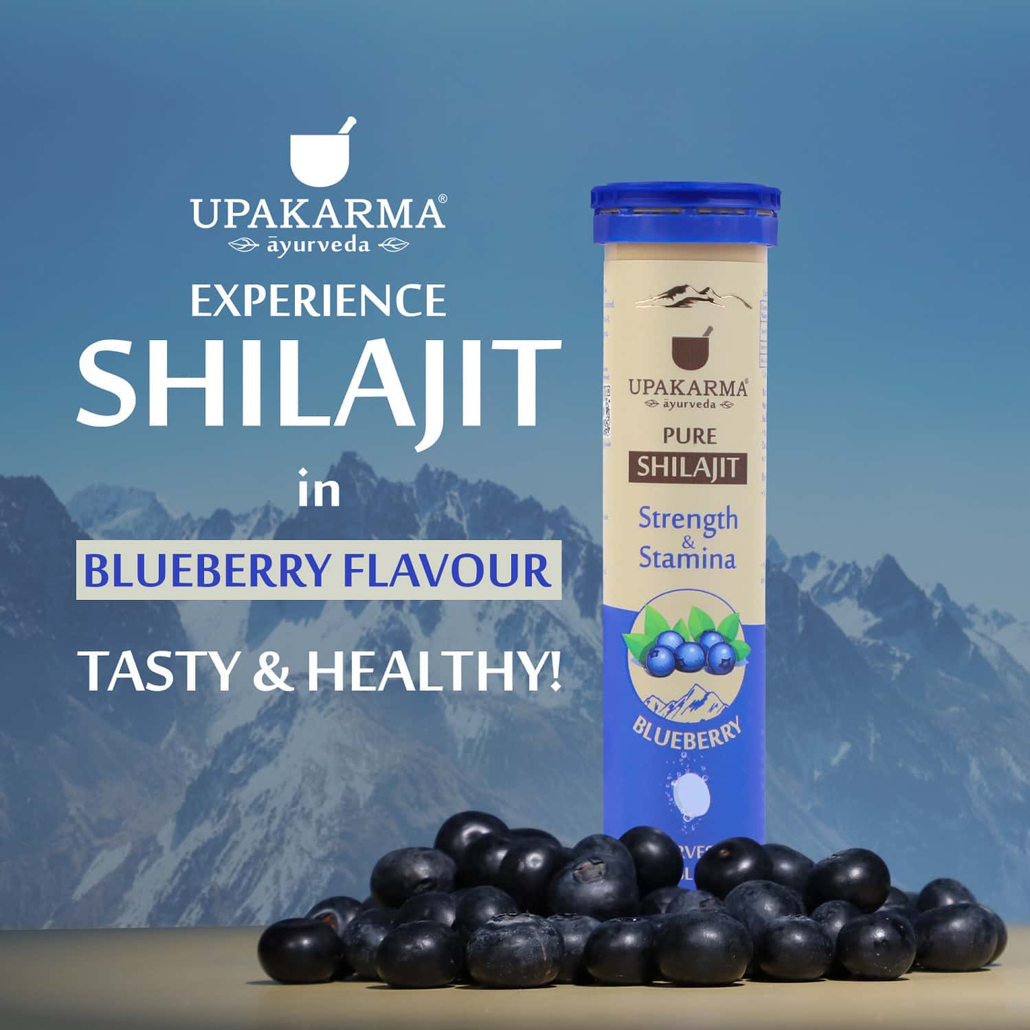 Buy UPAKARMA AYURVEDA PURE SHILAJIT BLUEBERRY 500MG 20 PREMIUM QUALITY ...