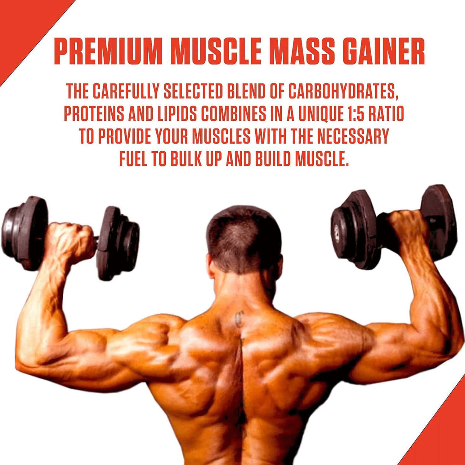 Buy IN2 MUSCLE MASS GAINER 2.5KG BULK UP WITH 3G CREATINE RICH ...