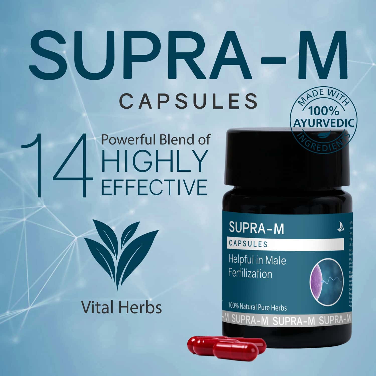 Buy SUPRA M CAPSULES 10 CAPS | FOR VITALITY IN MEN | WITH SHILAJIT ...