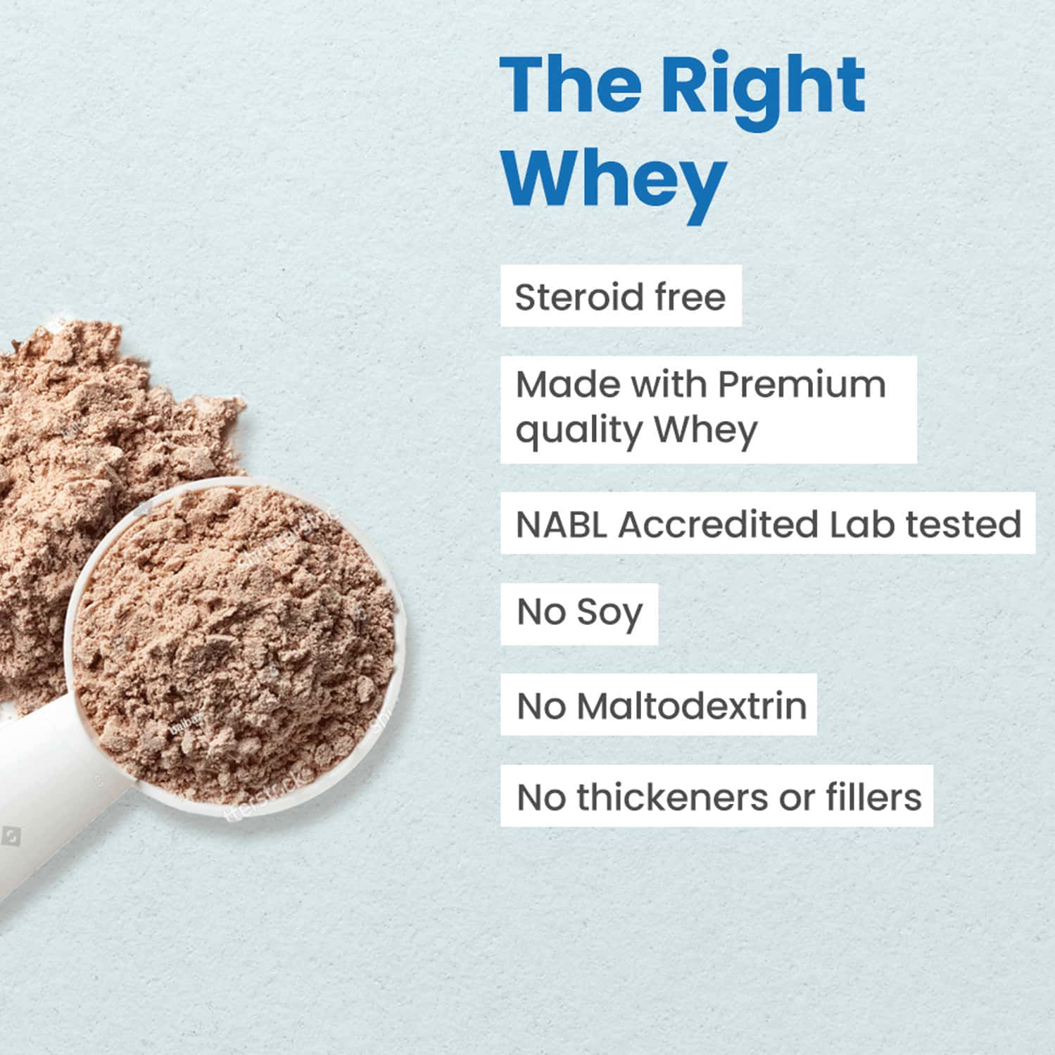 Buy EXERFIT|TITANIUM WHEY PROTEIN ISOLATE|100 MG MILK THISTLE|(RICH ...