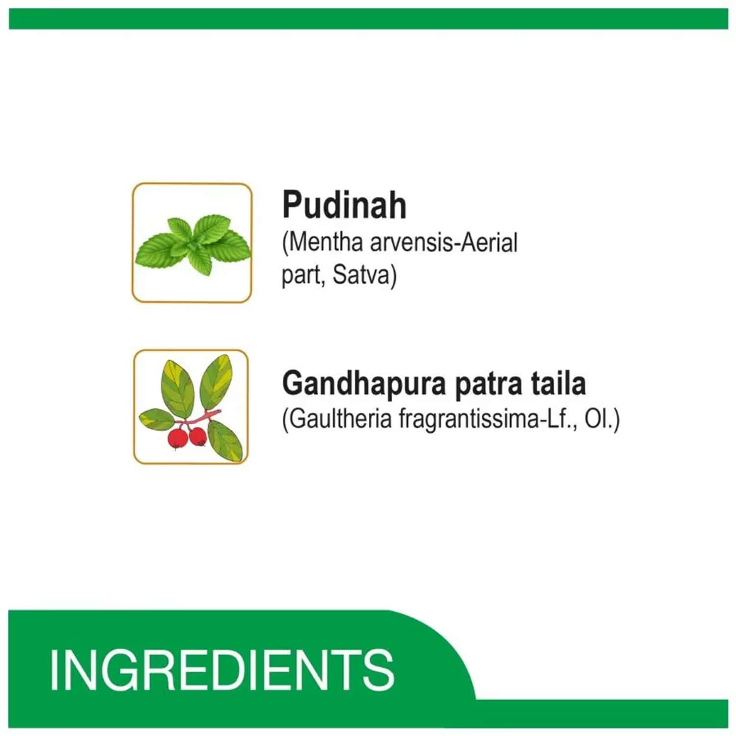 Buy AMRUTANJAN DOUBLE POWER STRONG BALM 8ML Online & Get Upto 60% OFF ...