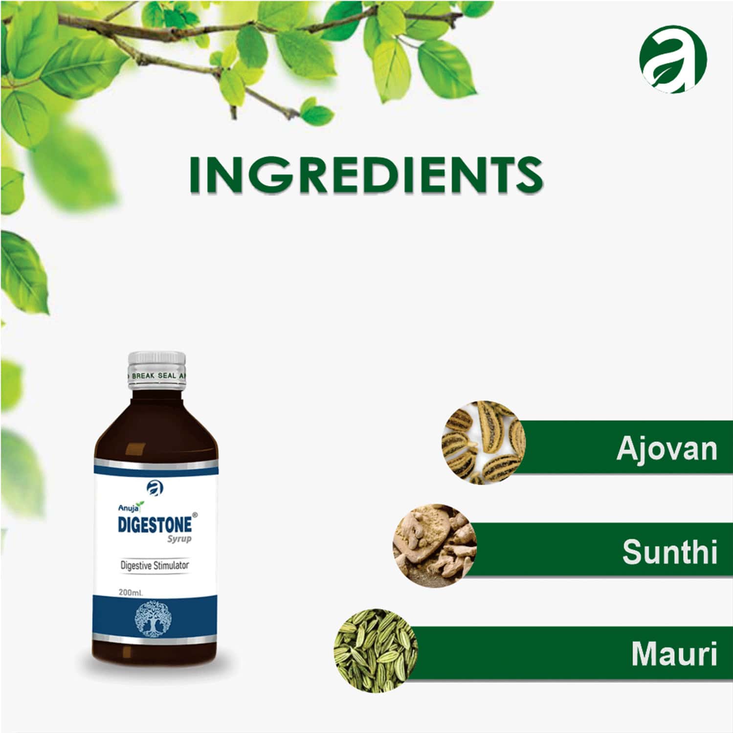 Buy ANUJA DIGESTONE SYRUP - 400 ML Online & Get Upto 60% OFF at PharmEasy