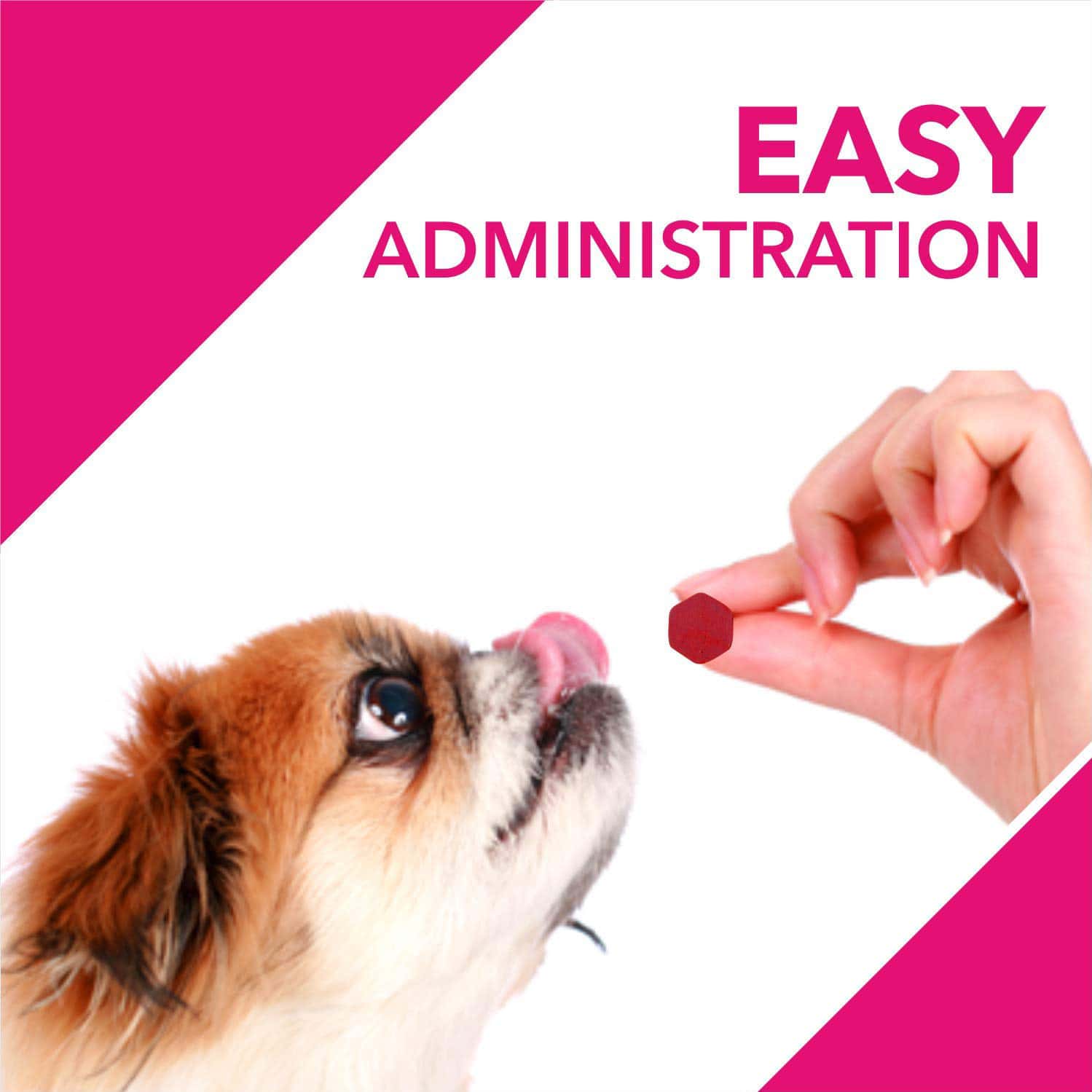 Buy DROOLS ABSOLUTE SKIN & COAT TABLET- DOG SUPPLEMENT 50 PIECES Online ...