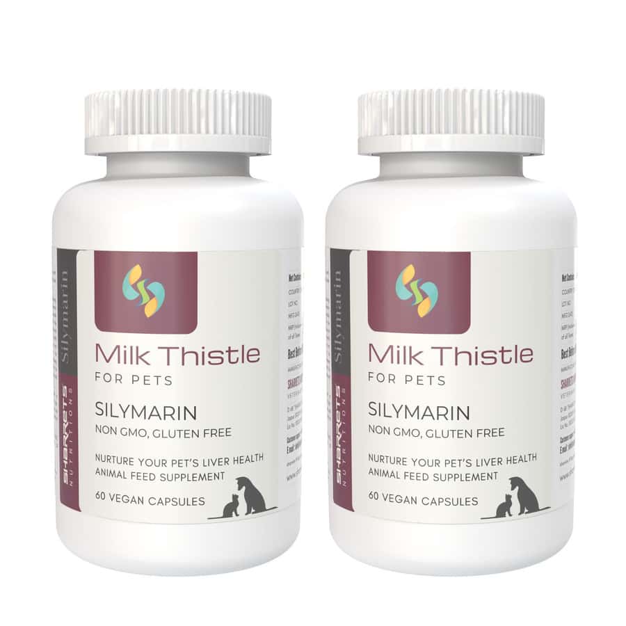 Buy PURE NUTRITION MILK THISTLE LIVER DETOX SUPPLEMENT- 60 N TABS ...