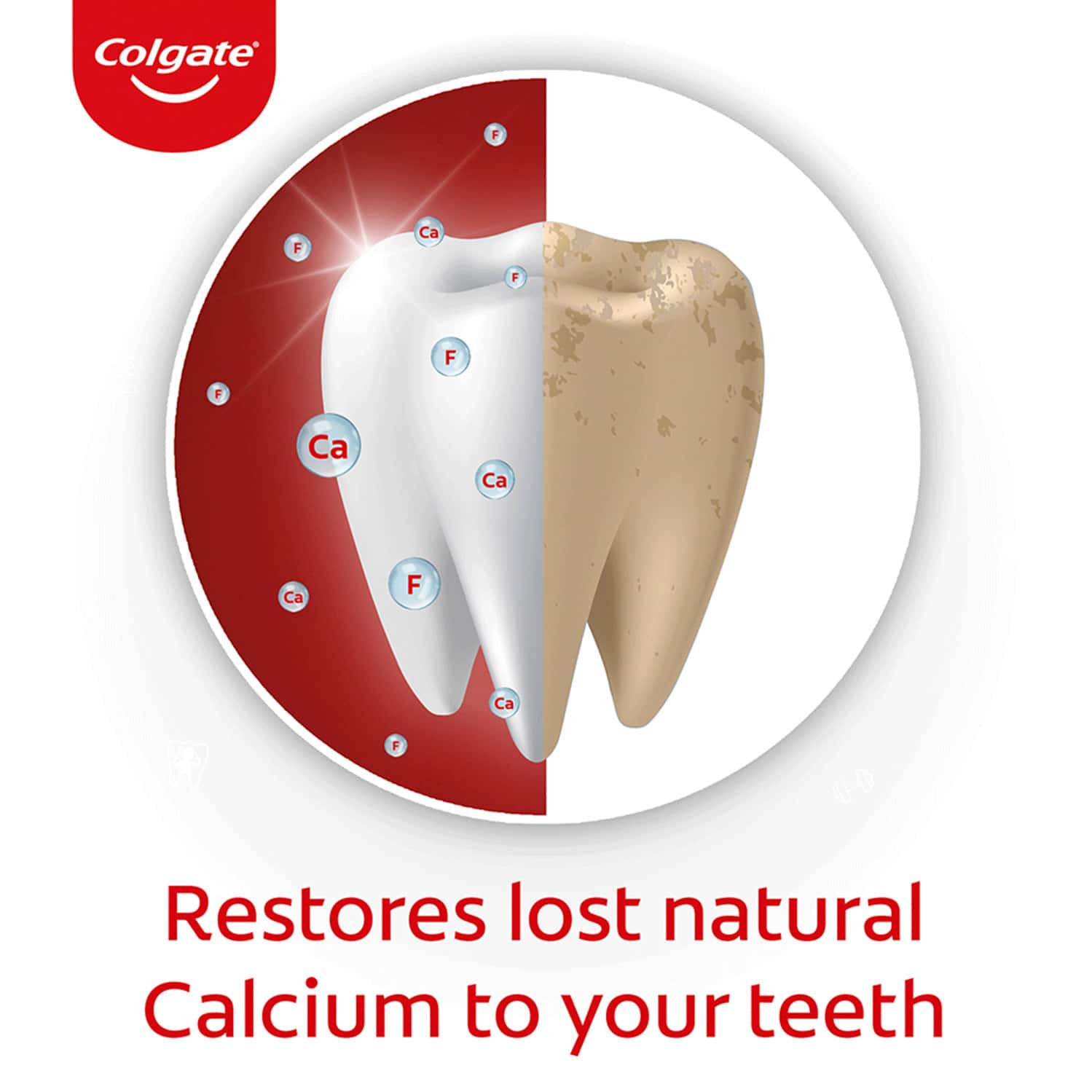 Buy COLGATE STRONG TEETH TOOTHPASTE : INDIA'S NO.1 TOOTHPASTE 2X ...