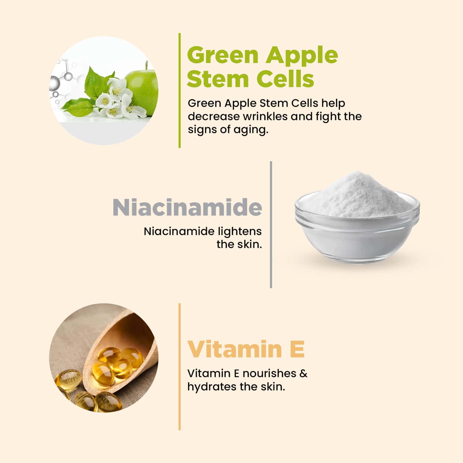 Buy THE SKIN STORY 5 IN 1 RADIANT CREAM, 50G Online & Get Upto 60% OFF ...