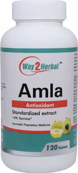 Buy WAY2HERBAL AMLA TABLETS 500MG PER SERVING - 120 TABLETS Online ...
