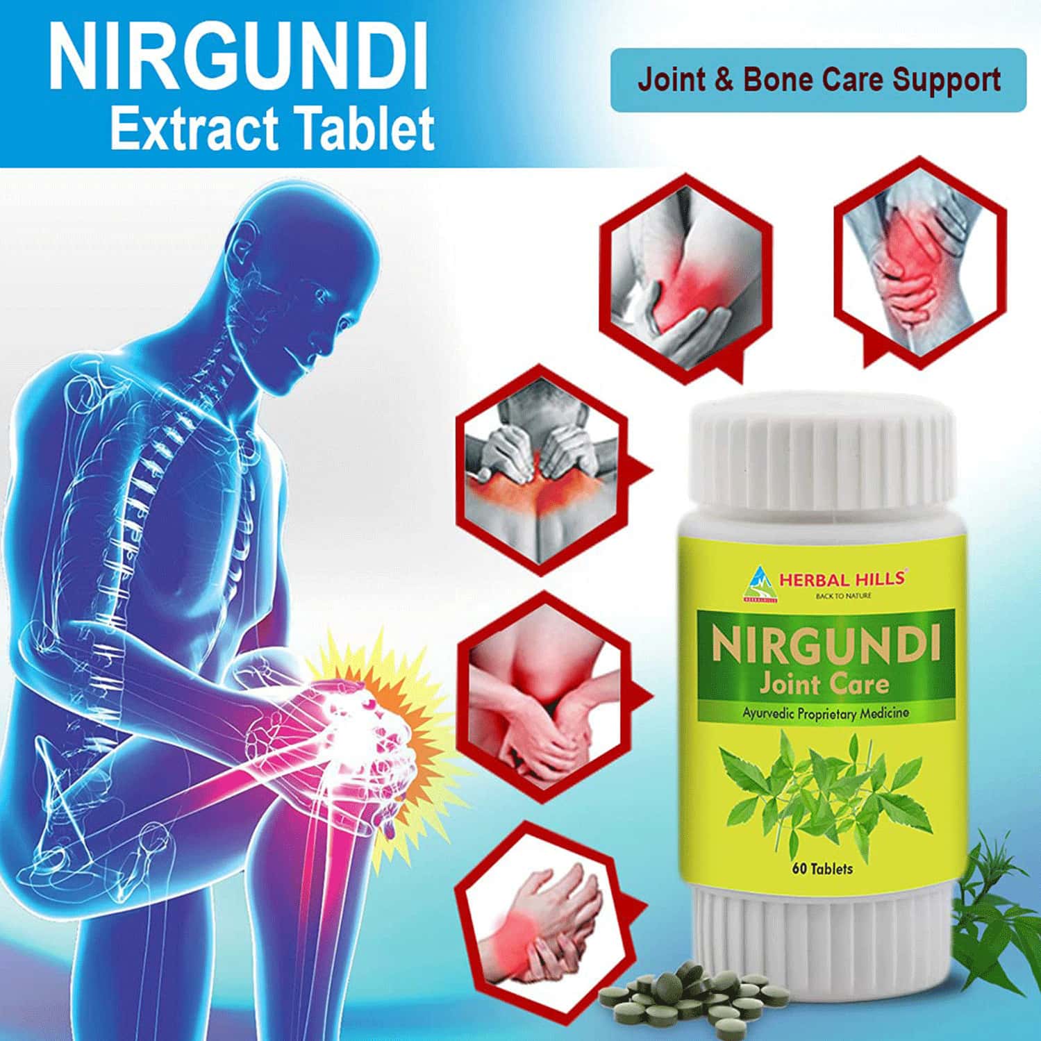 Buy HERBAL HILLS NIRGUNDI TABLETS (VITEX NEGUNDO) 500MG FOR JOINT CARE ...