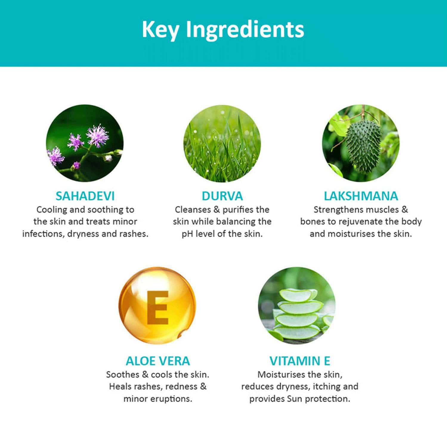 Buy TAC - THE AYURVEDA CO. DASHAPUSHPADI MOISTURIZING AYURVEDIC BABY ...