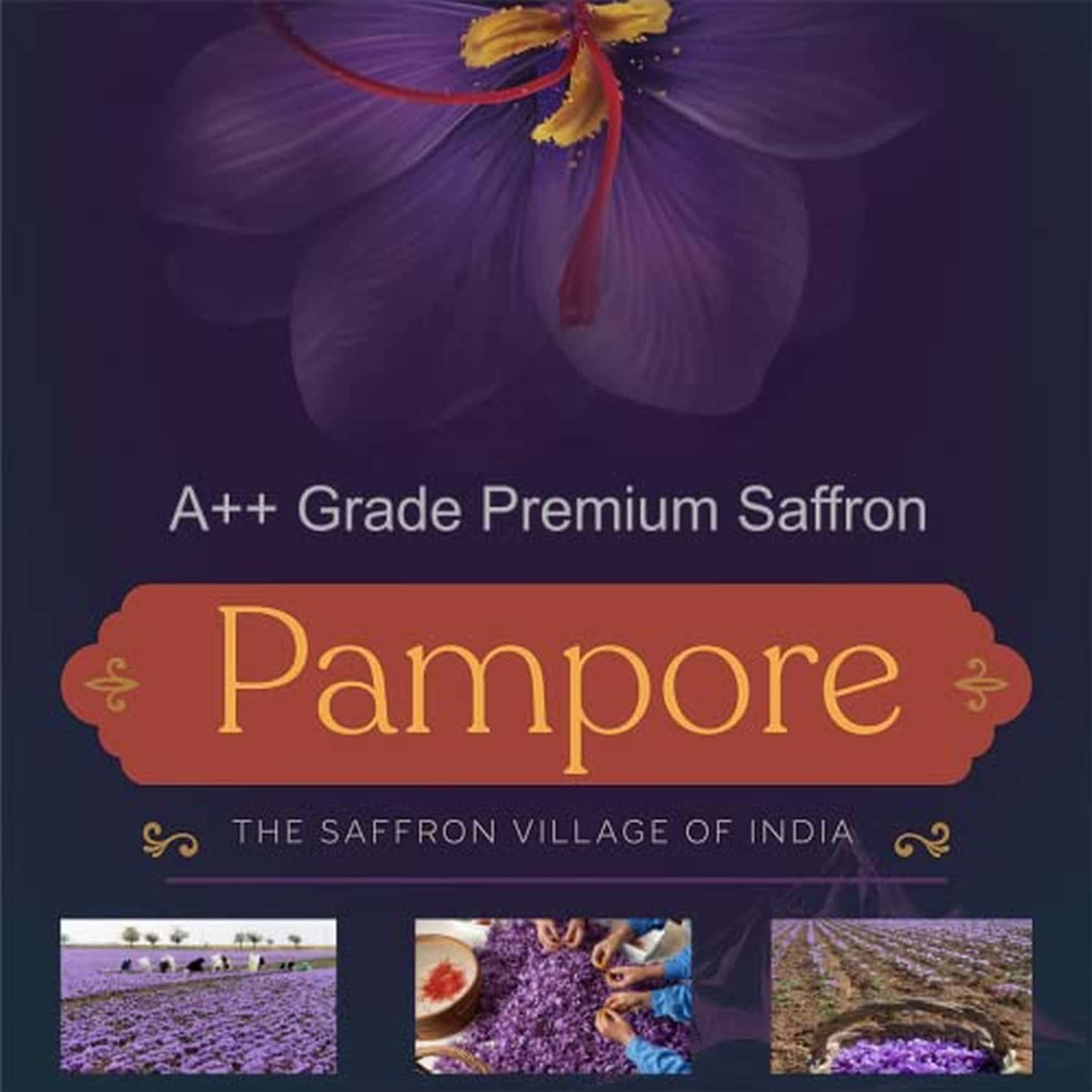 Buy FIJ AYURVEDA SAFFRON THREAD KESAR - 3GM (COMBO PACK) Online & Get ...