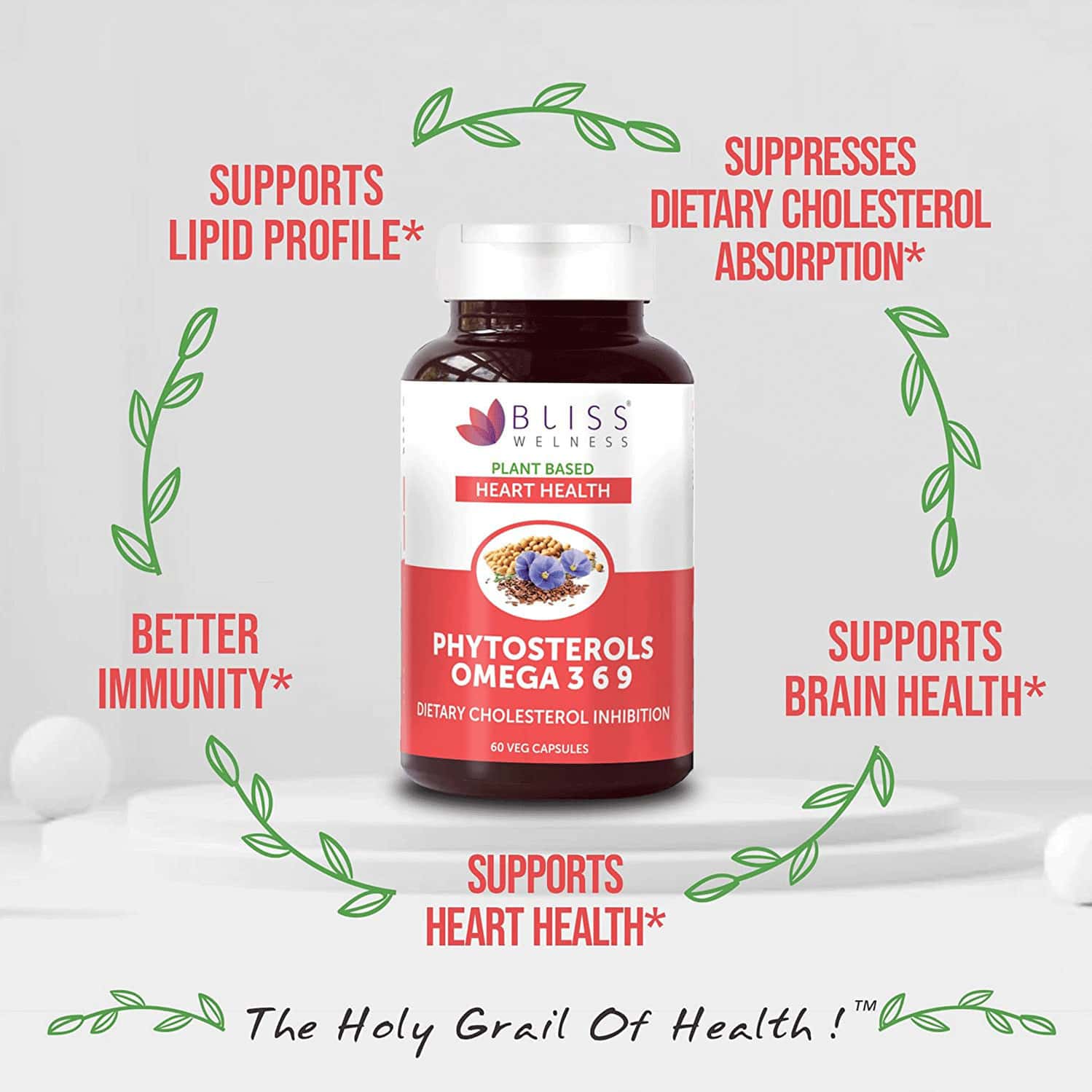 Buy BLISS WELLNESS CHOLESTEROL MANAGEMENT | OMEGA 369+STEROLS ...