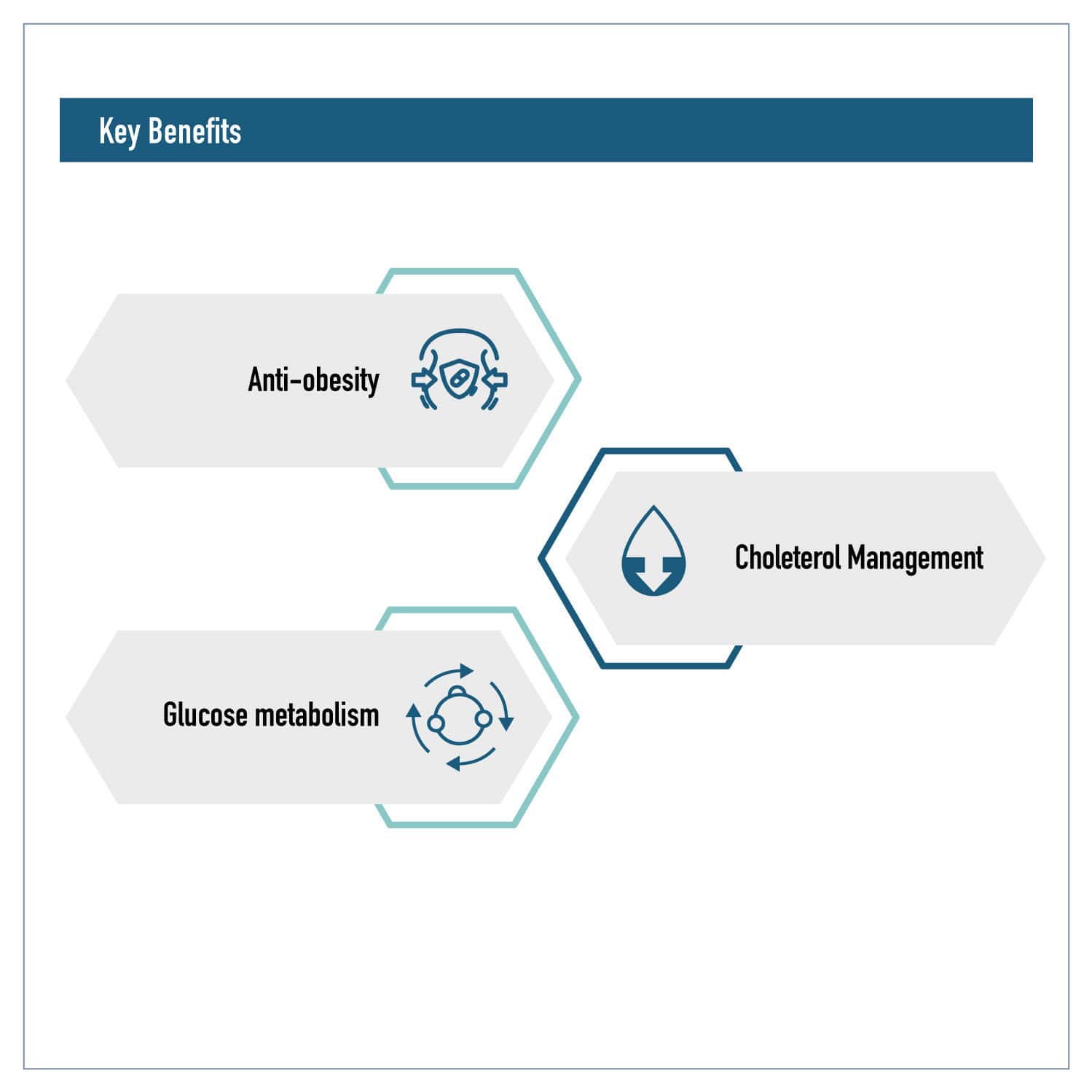 Buy HEALTHKART CLA FAT BURNER 1000MG WITH CONJUGATED LINOLEIC ACID (90 ...