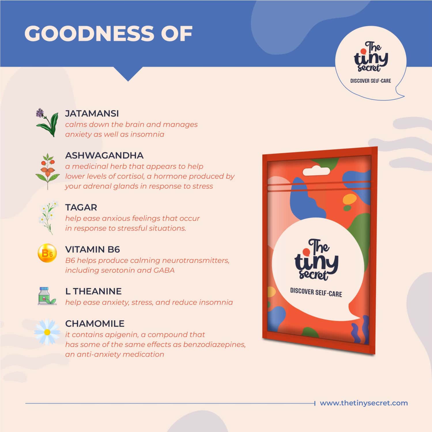 Buy THE TINY SECRET FIT MINT STRESS RELIEF CHEW TABLETS FRUITY FLAVOUR ...