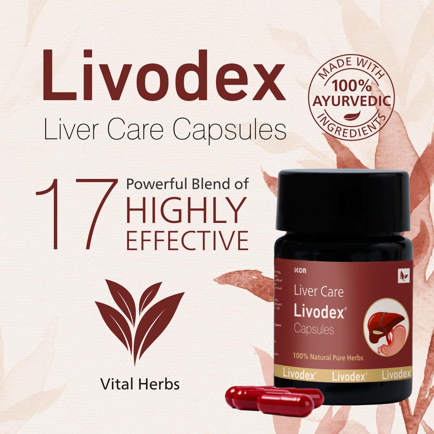Buy LIVODEX CAPSULES 10 CAPS | LIVER HEALTH SUPPLEMENT | DETOX LIVER ...