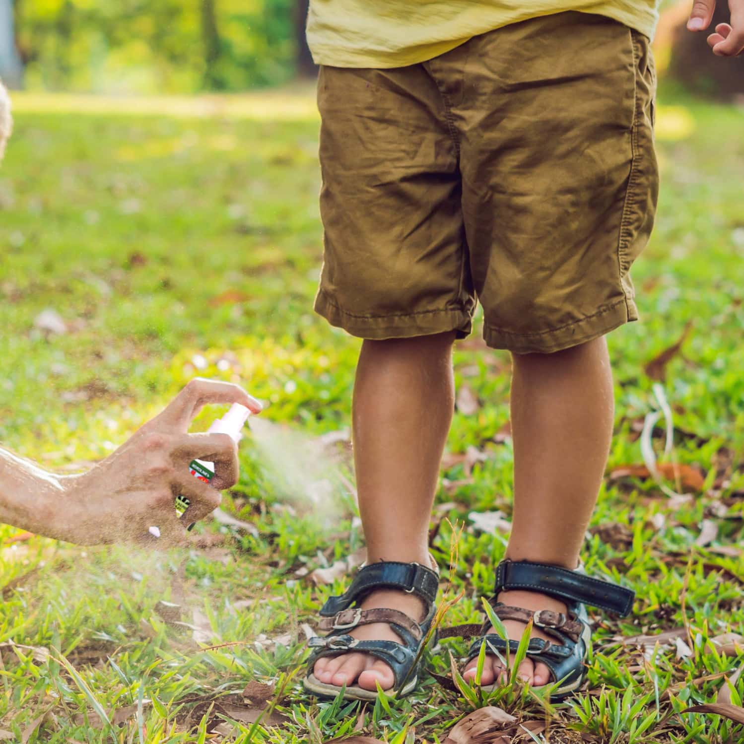 Buy BOROLINE NORPIX AYURVEDIC PERSONAL MOSQUITO REPELLENT SPRAY 100 ML ...