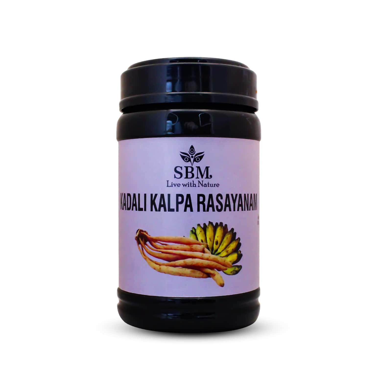 Buy SBM AYUR RAKTHAPOSHINI AYURVEDIC TONIC 400G Online & Get Upto 60% ...