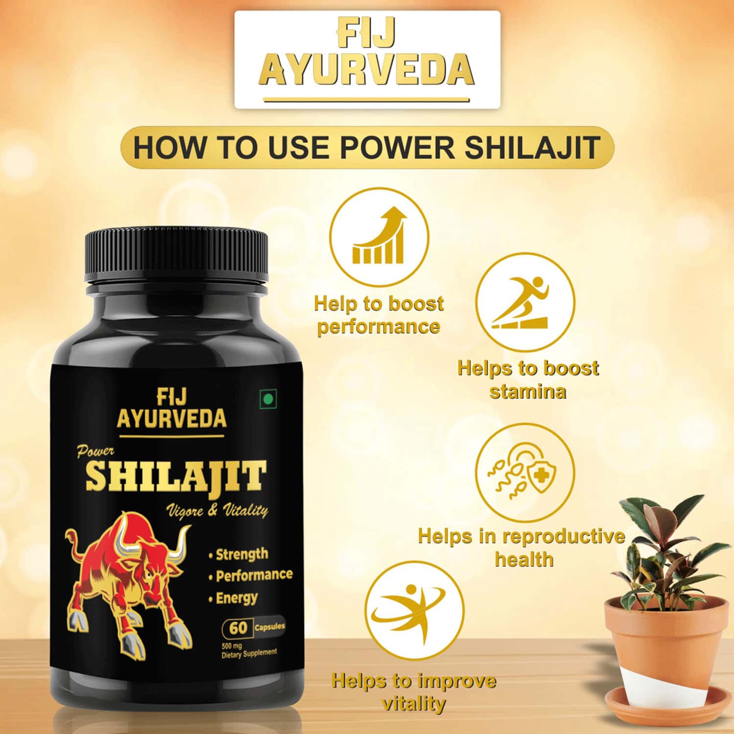 Buy FIJ AYURVEDA POWER SHILAJIT/SHILAJEET EXTRACT CAPSULE FOR STAMINA ...