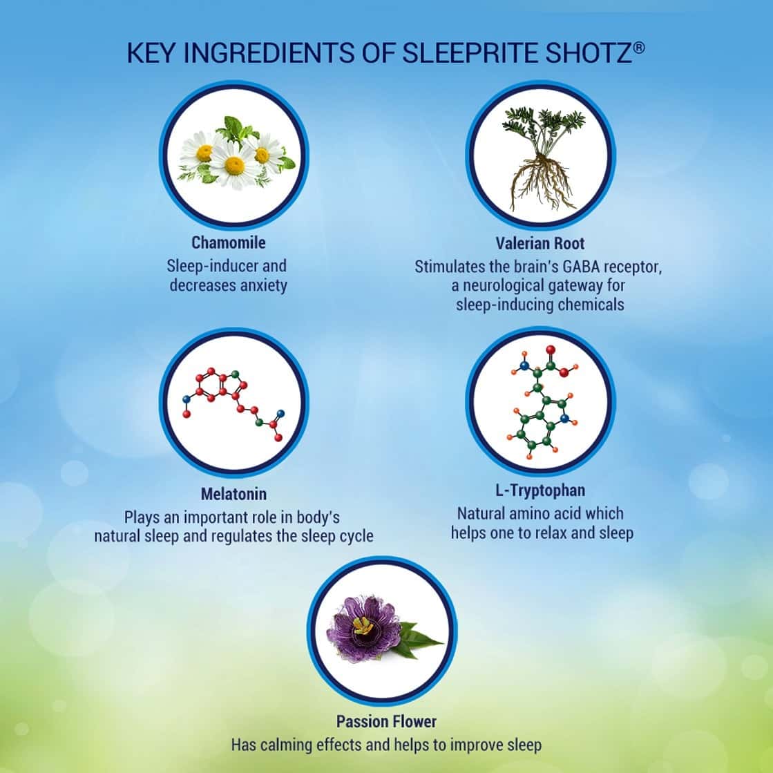 Buy SLEEPRITE SHOTZ LITCHI-LICIOUS (PACK OF 12) Online & Get Upto 60% ...