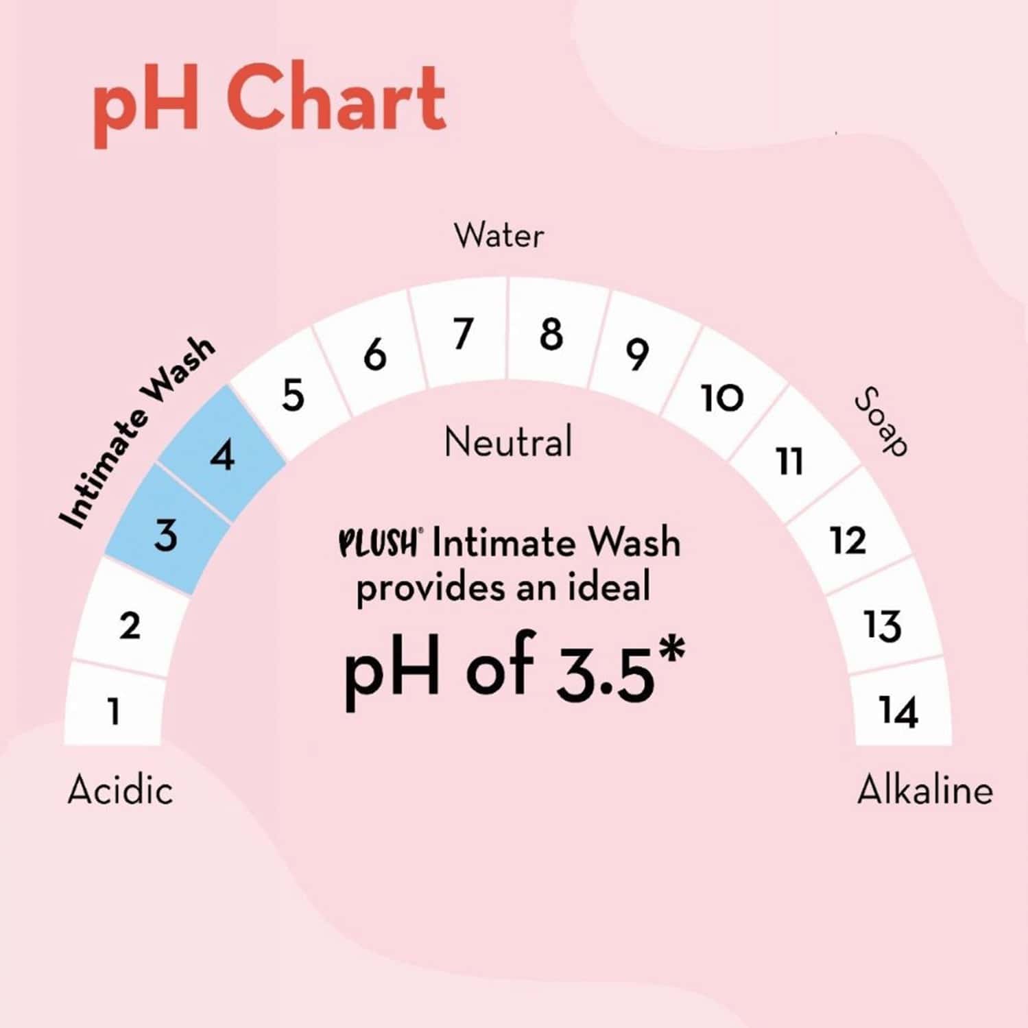 Buy PLUSH ALL NATURAL INTIMATE & VAGINAL WASH FOR WOMEN | RICH TEA TREE ...