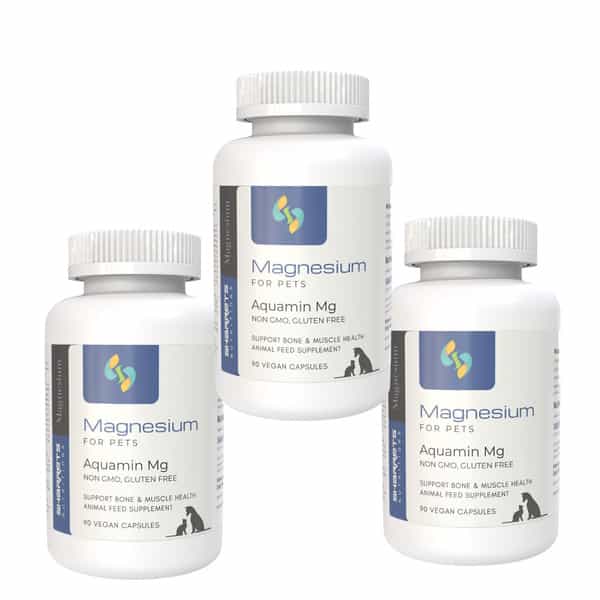 Buy SHARRETS NATURAL MARINE MAGNESIUM SUPPLEMENT FOR PETS | AQUAMIN MG ...