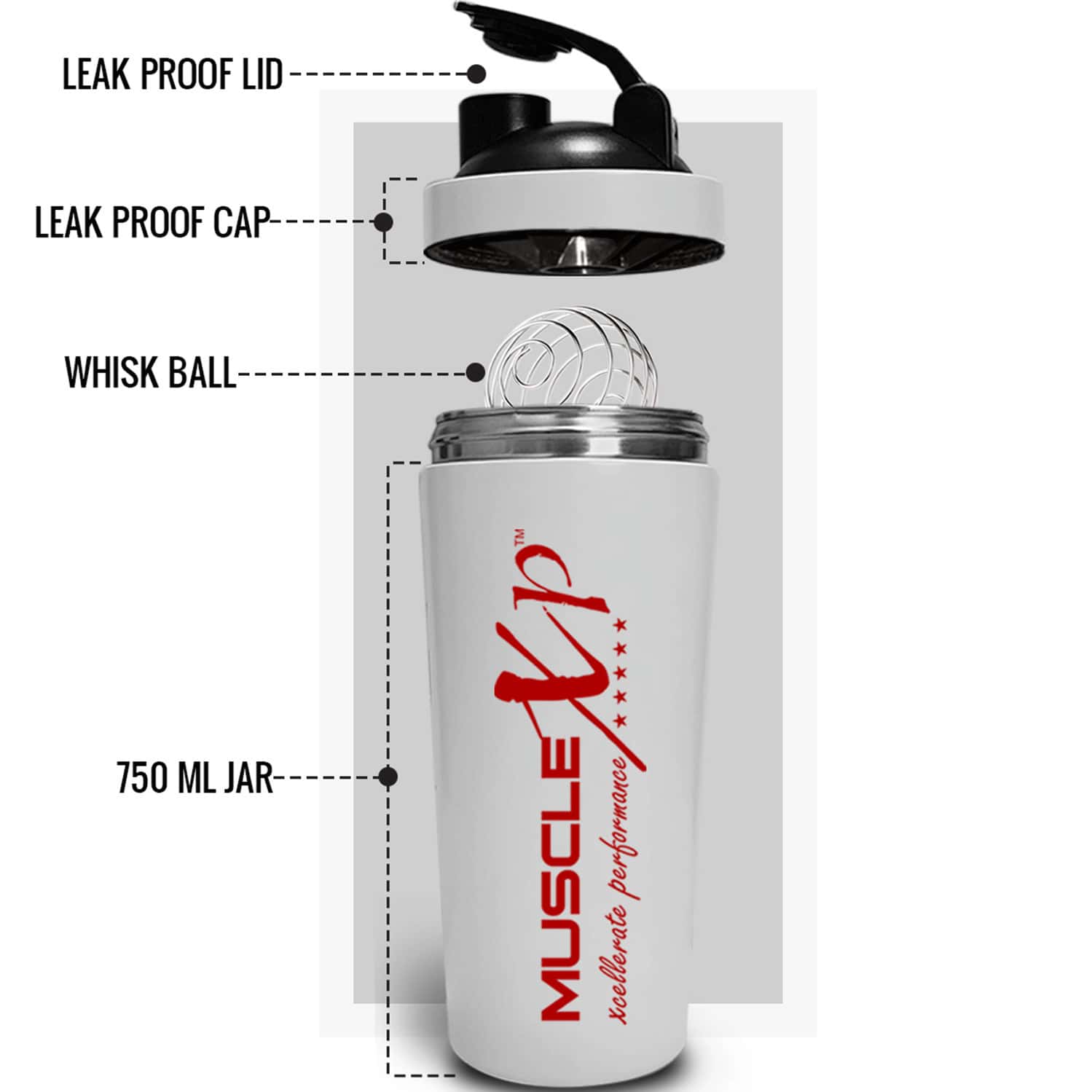 Buy MUSCLEXP GYM SHAKER CLASSIC XP MIXER STAINLESS STEEL 750 ML PRE WORKOUT SIPPER BOTTLE (WHITE ...