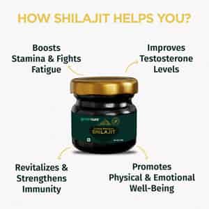 Buy GREENCURE ORIGINAL HIMALAYAN SHILAJIT RESIN (20G) SHILAJEET ...