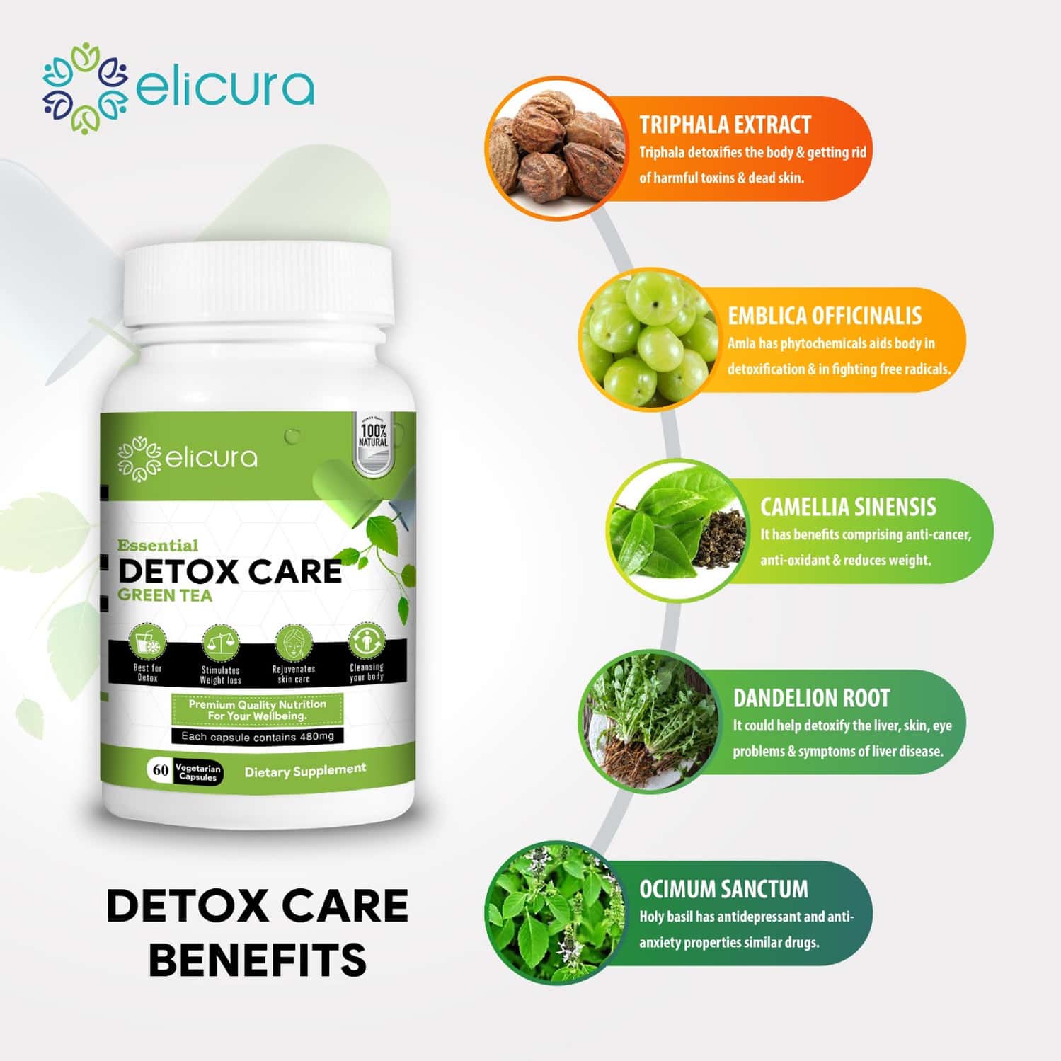 Buy ELICURA'S ESSENTIAL DETOX GREEN TEA 60 VEG CAPSULES - PACK OF 1 ...