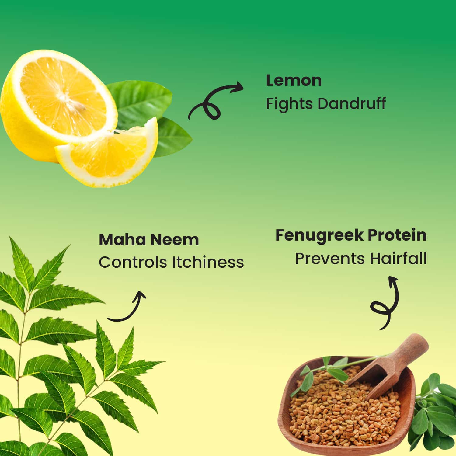 Buy CHIK PROTEIN SOLUTION ANTI DANDRUFF SHAMPOO, WITH MAHANEEM, LEMON ...