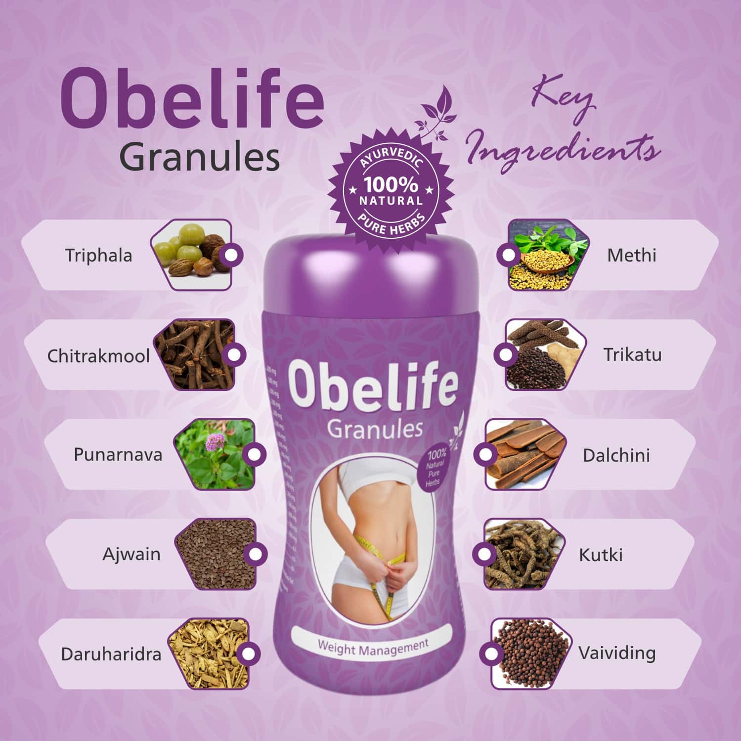 Buy OBELIFE GRANULES (200 GRAMS - PACK OF 4)||DIETARY SUPPLEMENT ...