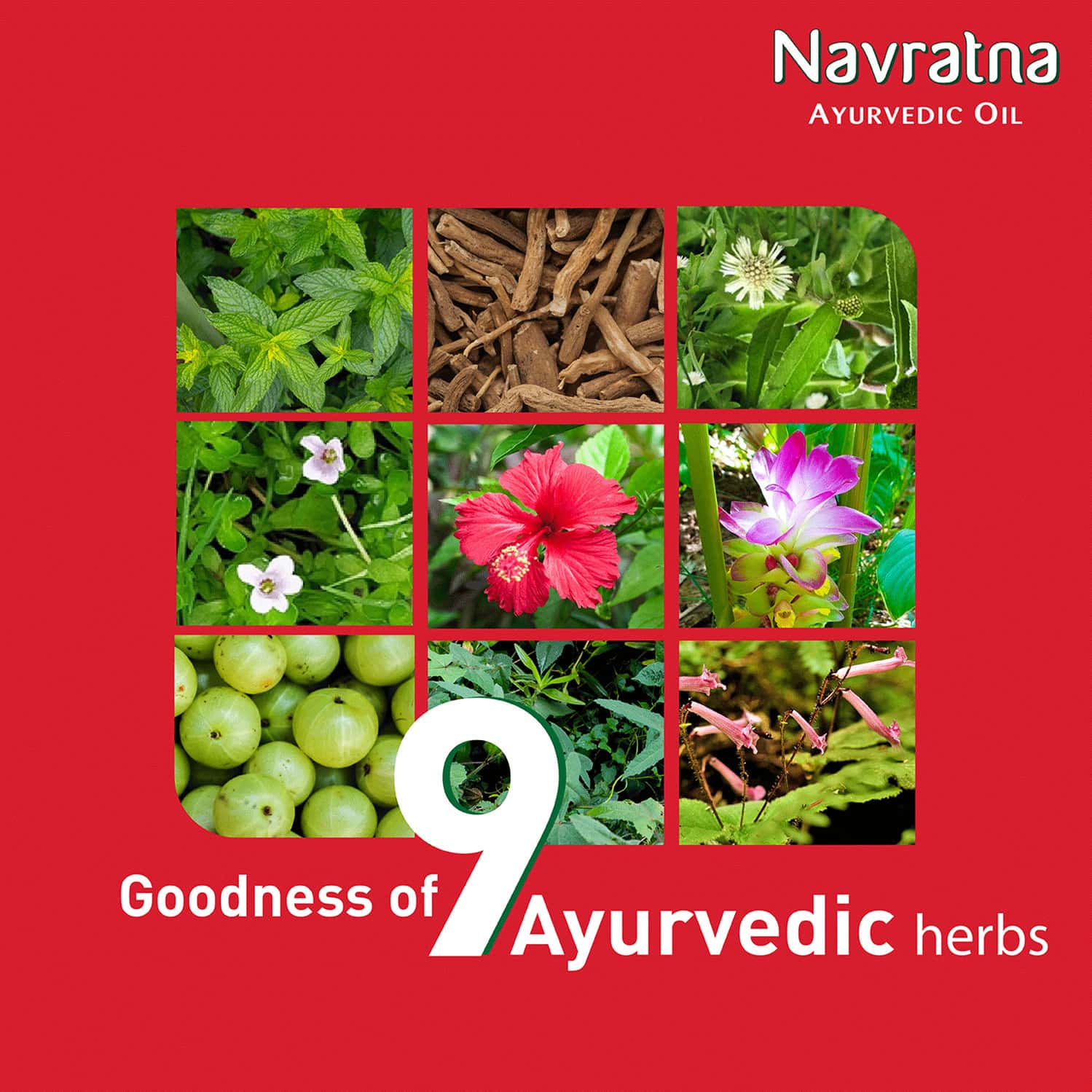 Buy NAVRATNA AYURVEDIC COOL OIL COMBINATION OF 9 AYURVEDIC HERBS ...