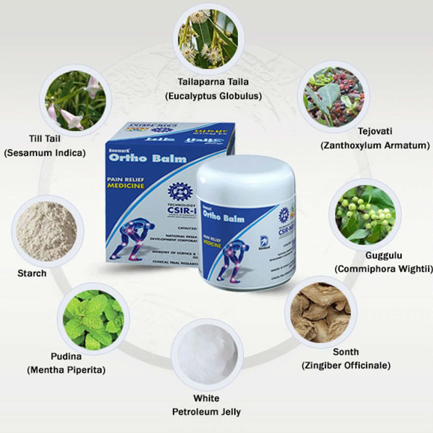 Buy DEEMARK ORTHO BALM | AYURVEDIC BALM FOR JOINT PAIN MUSCLE PAIN ...