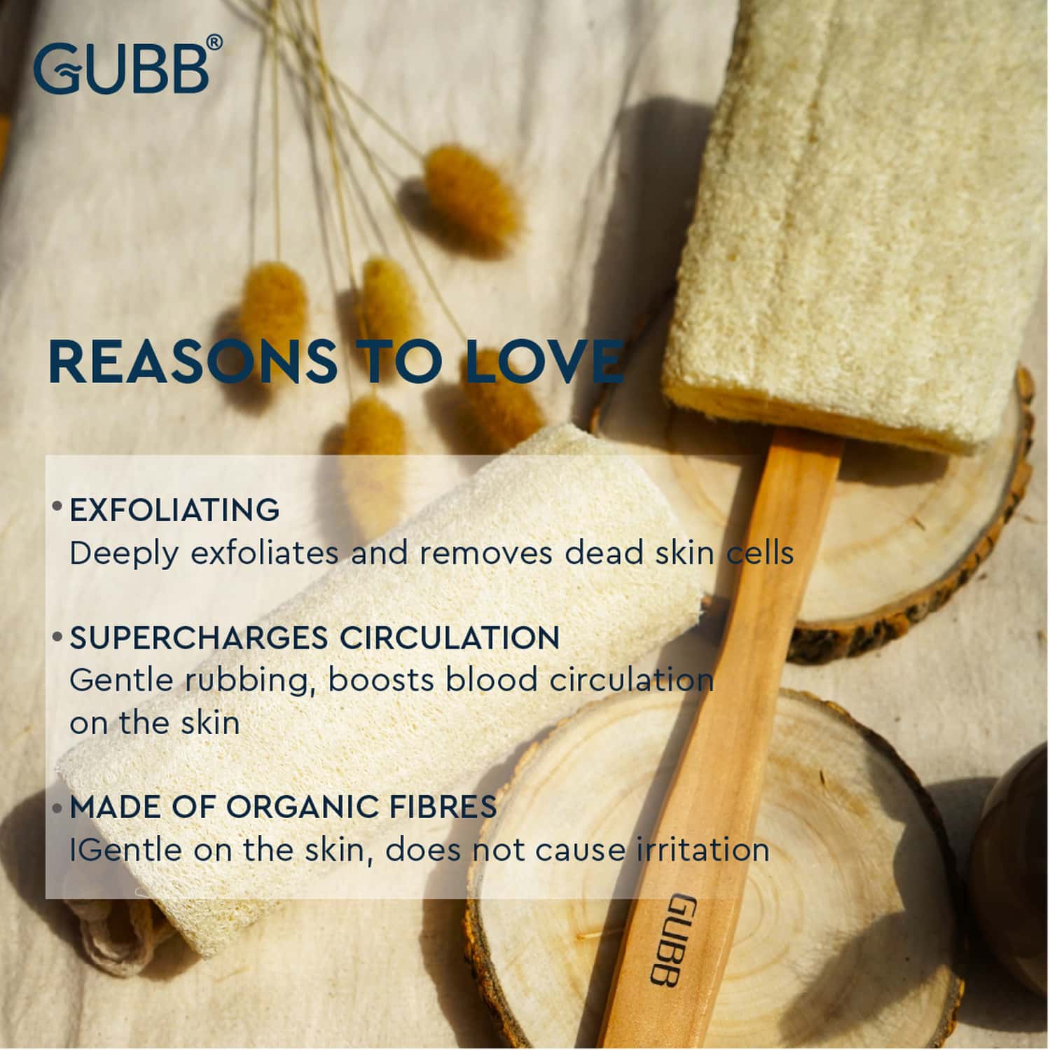 Buy GUBB NATURAL LOOFAH BRUSH WITH DETACHABLE HANDLE Online & Get Upto ...