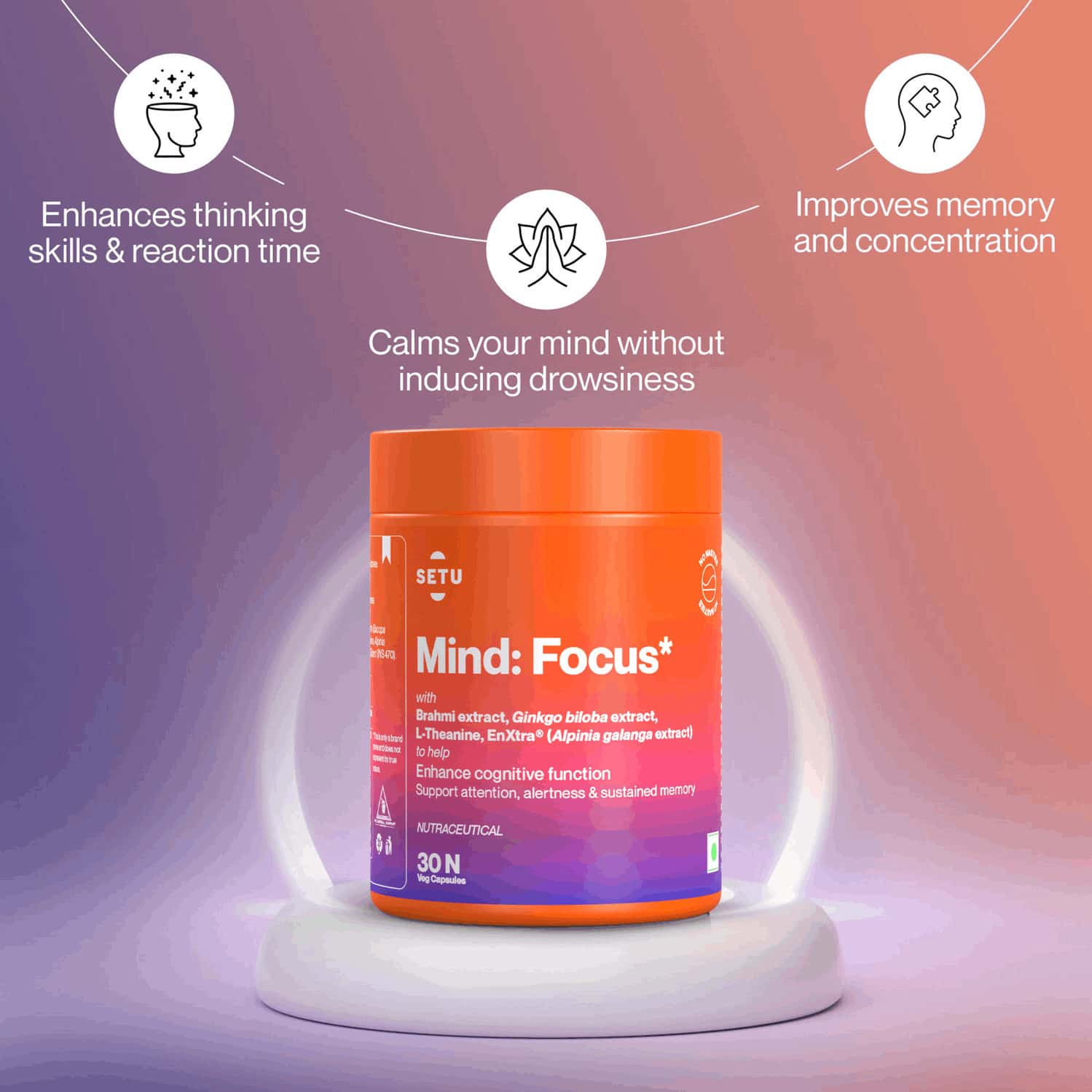 Buy MIND FOCUS CAPSULES L-THEANINE, BRAHMI & GINKGO BILOBA, BRAIN ...