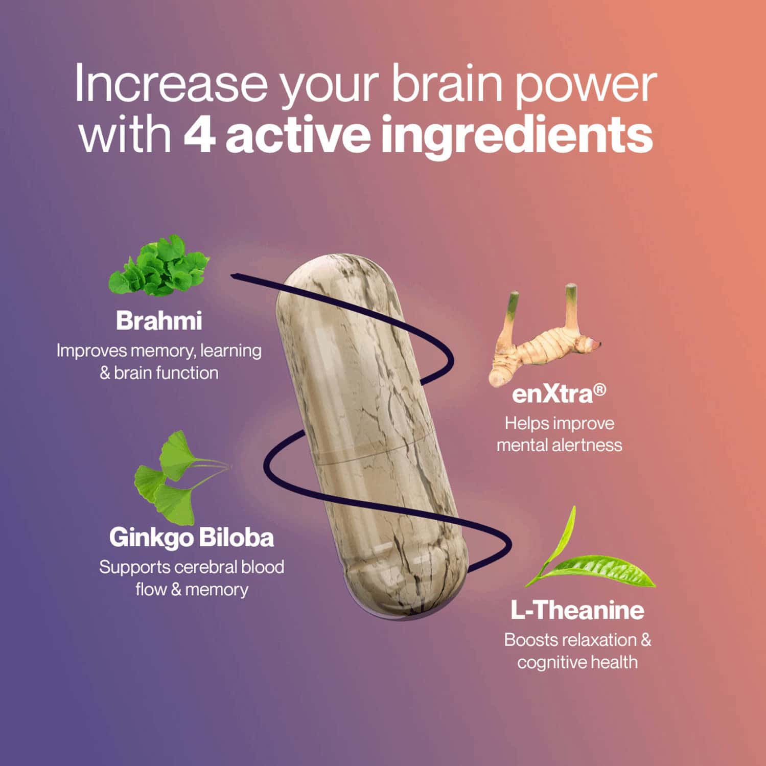 Buy MIND FOCUS CAPSULES L-THEANINE, BRAHMI & GINKGO BILOBA, BRAIN ...