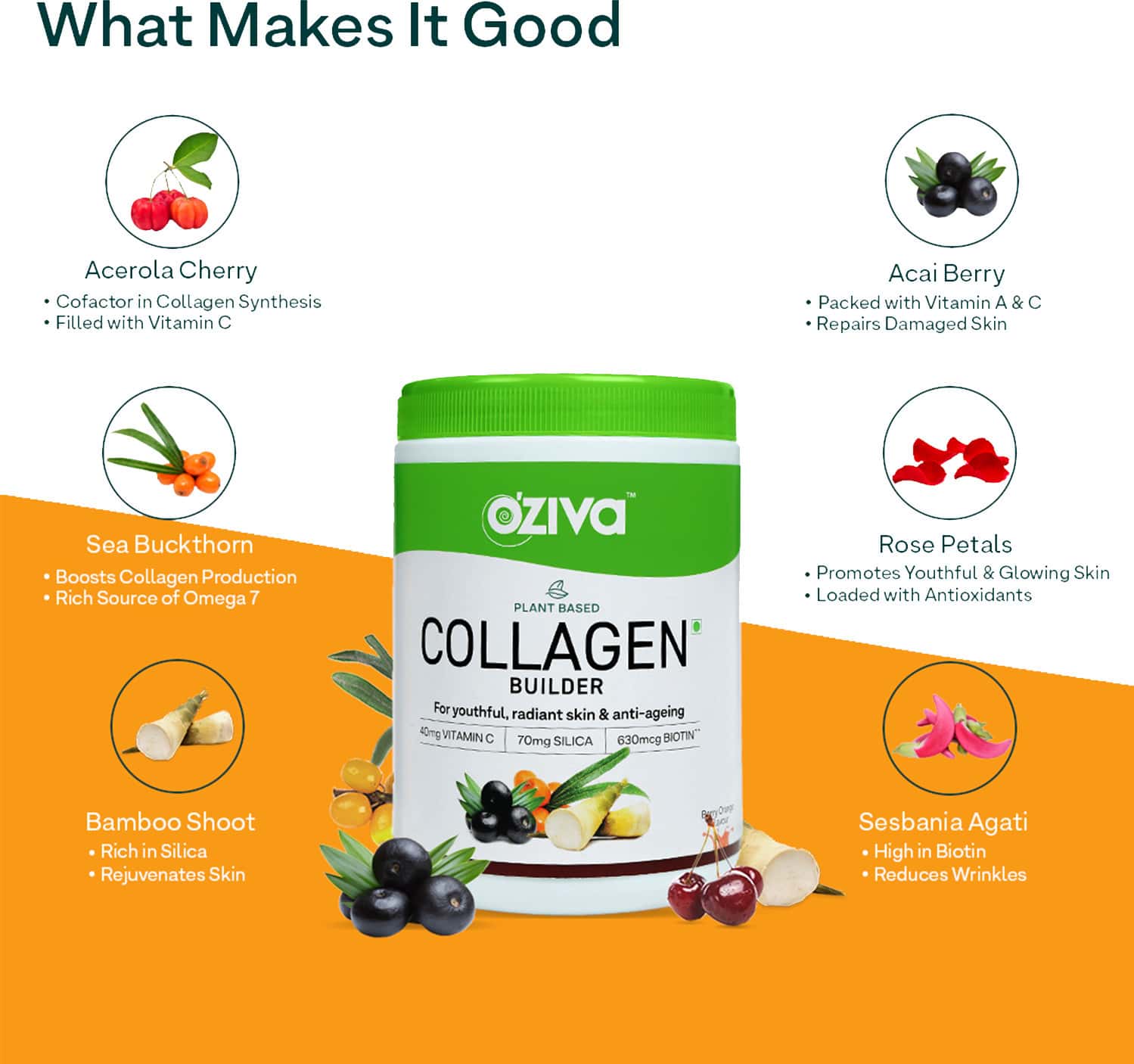 Buy OZIVA PLANT BASED COLLAGEN BUILDER (250G) FOR GLOWING & YOUTHFUL ...