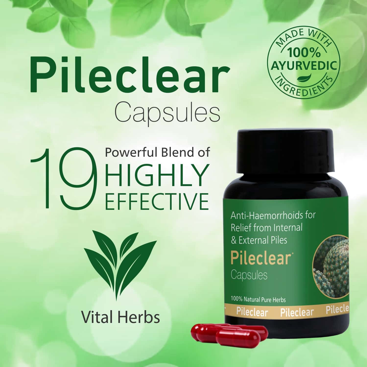 Buy PILECLEAR CAPSULES 30 CAPS | AYURVEDIC PILES CARE CAPSULES | 100 % ...