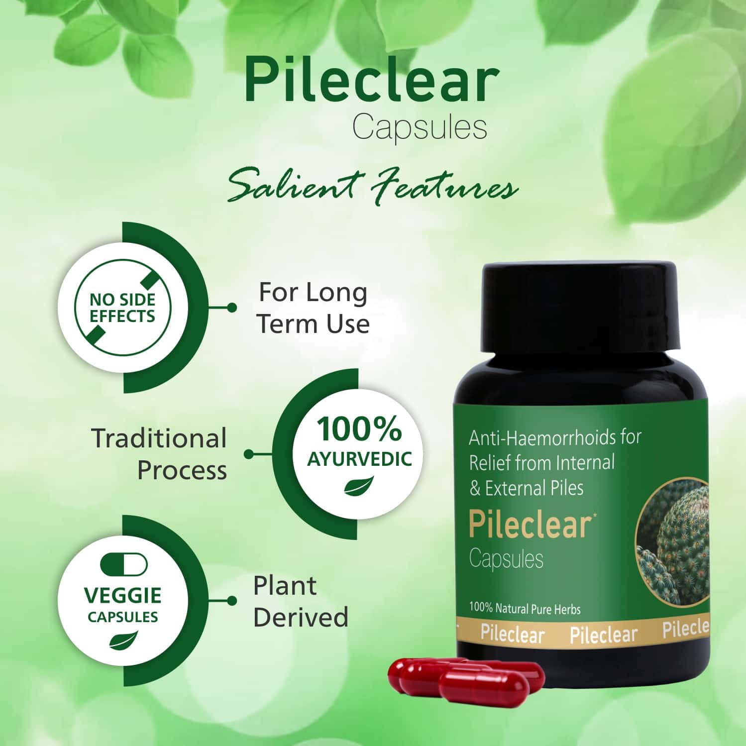 Buy PILECLEAR CAPSULES 30 CAPS | AYURVEDIC PILES CARE CAPSULES | 100 % ...